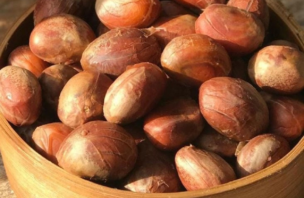 Kalian Wajib Tau Manfaat Kesehatan dari Biji Cempedak Serta Cara ...